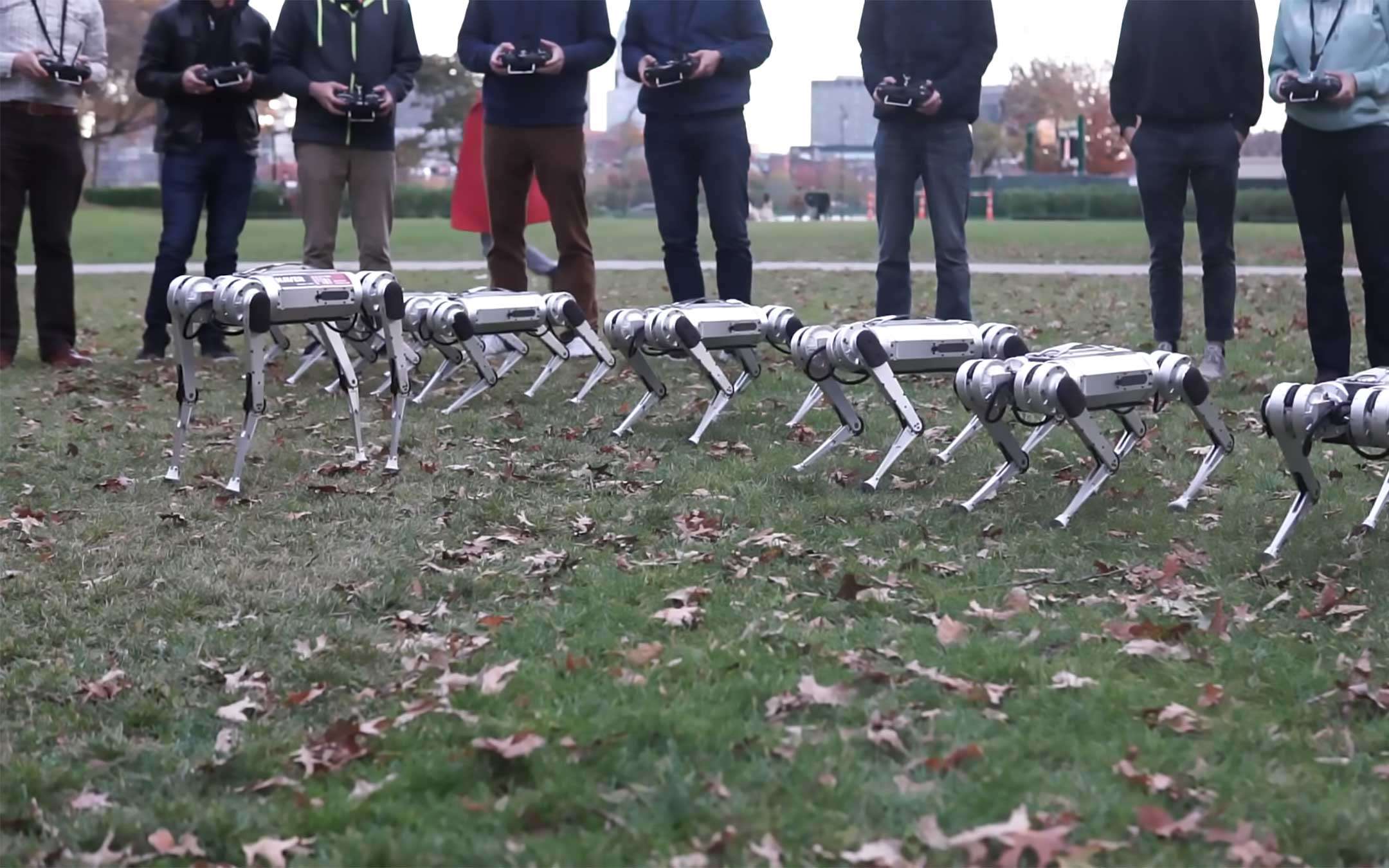 I robot Mini Cheetah del MIT al parco, senza guinzaglio