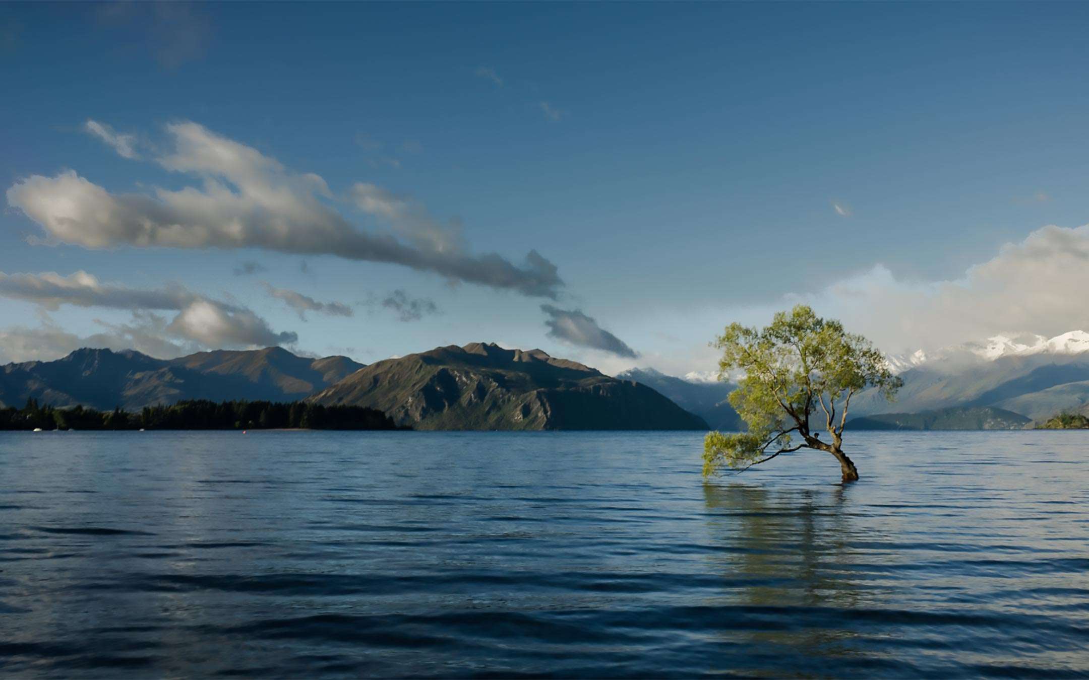 Microsoft annuncia Planetary Computer: cloud e IA per l'ambiente