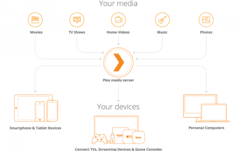 Plex, guida all’installazione e all’utilizzo e tutto quello che c’è da ...