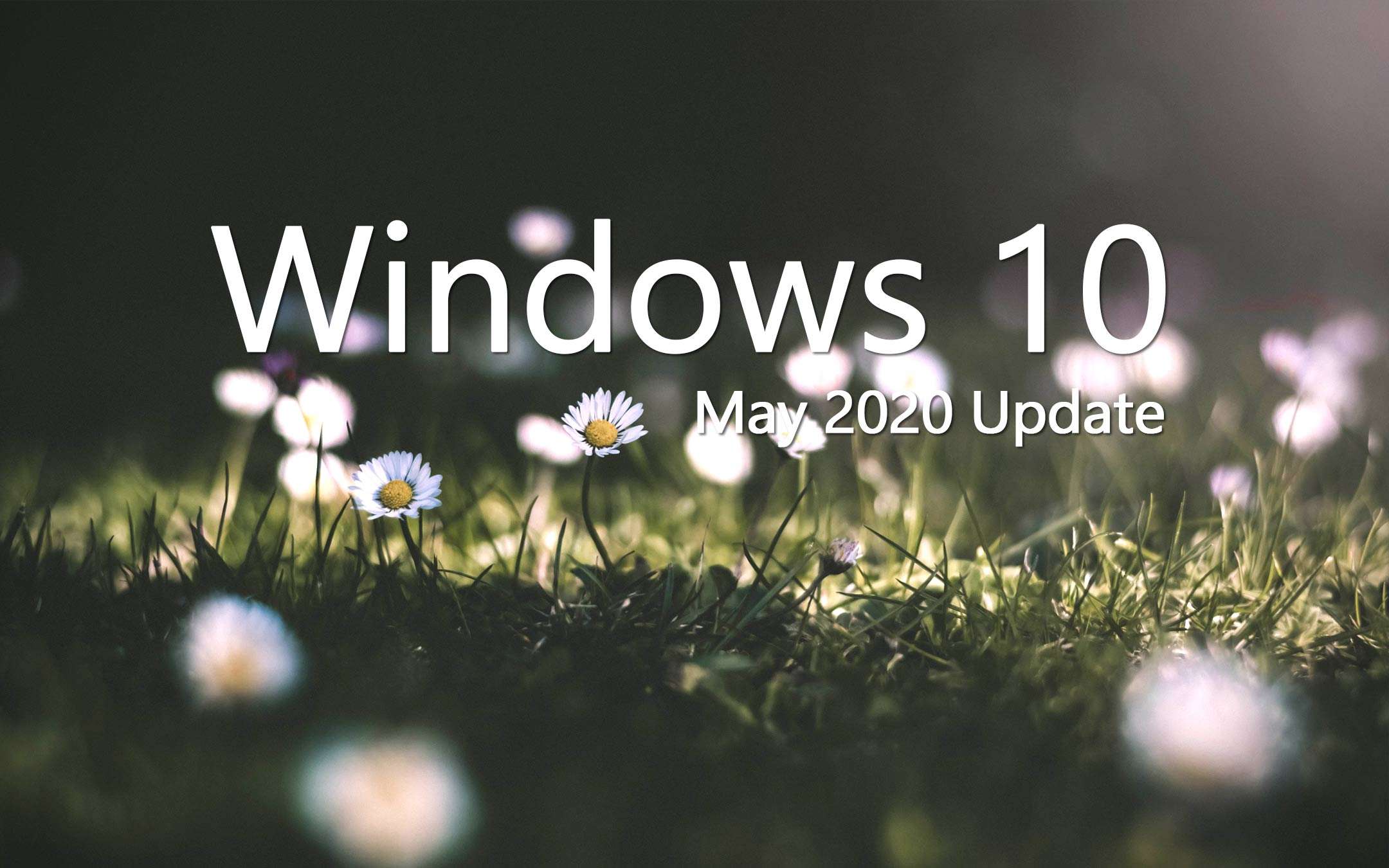 Windows 10 May 2020 Update è pronto: ultimo test per la build finale