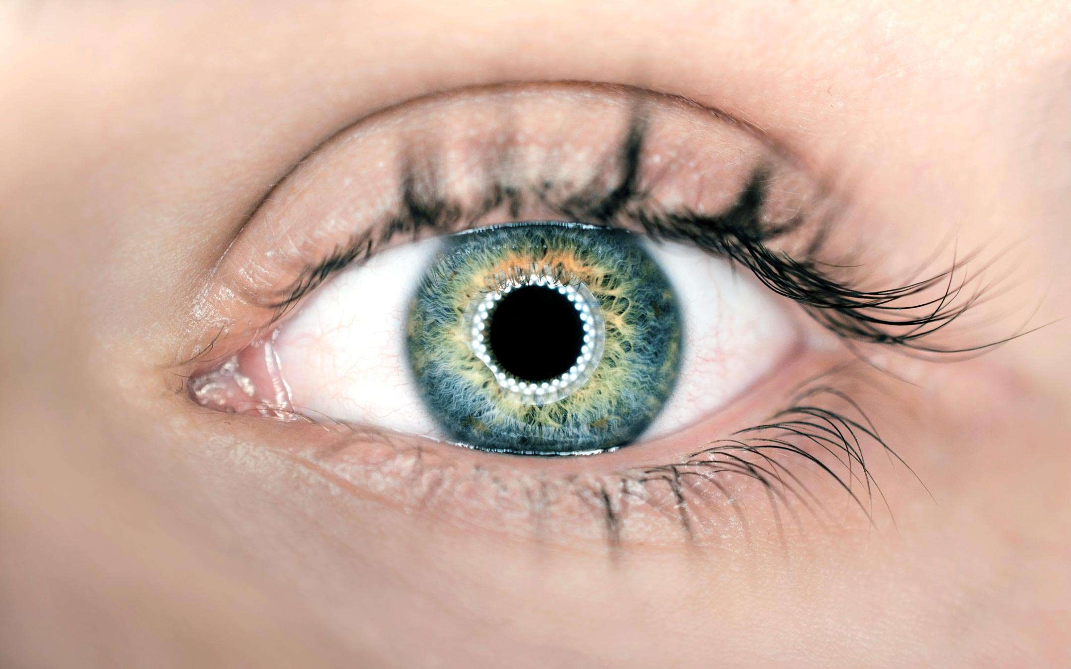 Un occhio artificiale restituirà la vista a chi l'ha perduta