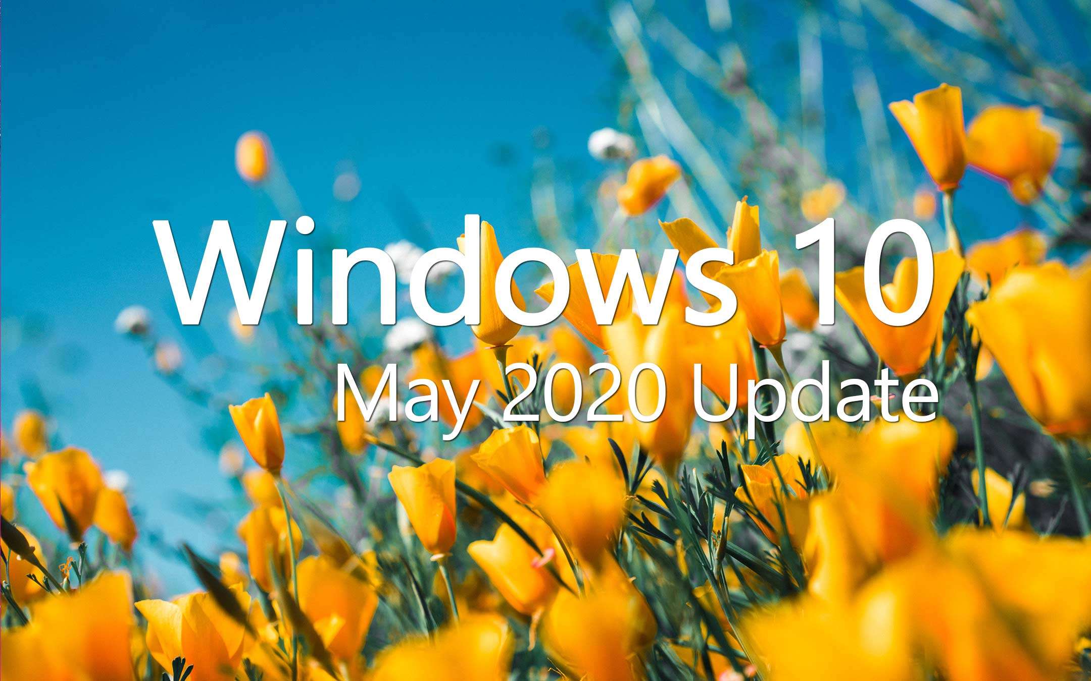 Windows 10 May 2020 Update: Microsoft conferma la data di uscita