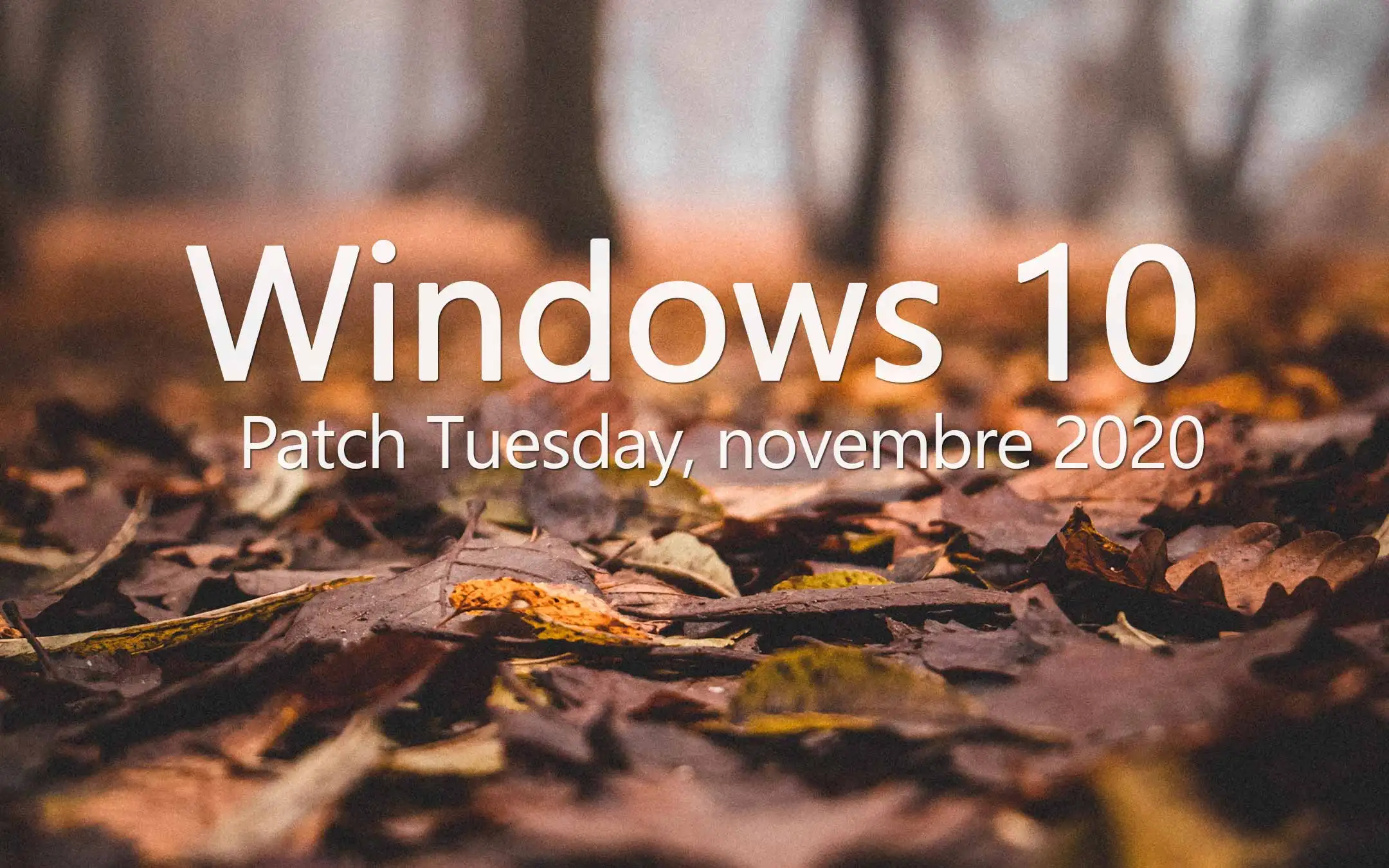 Windows 10: il Patch Tuesday di novembre 2020 in download