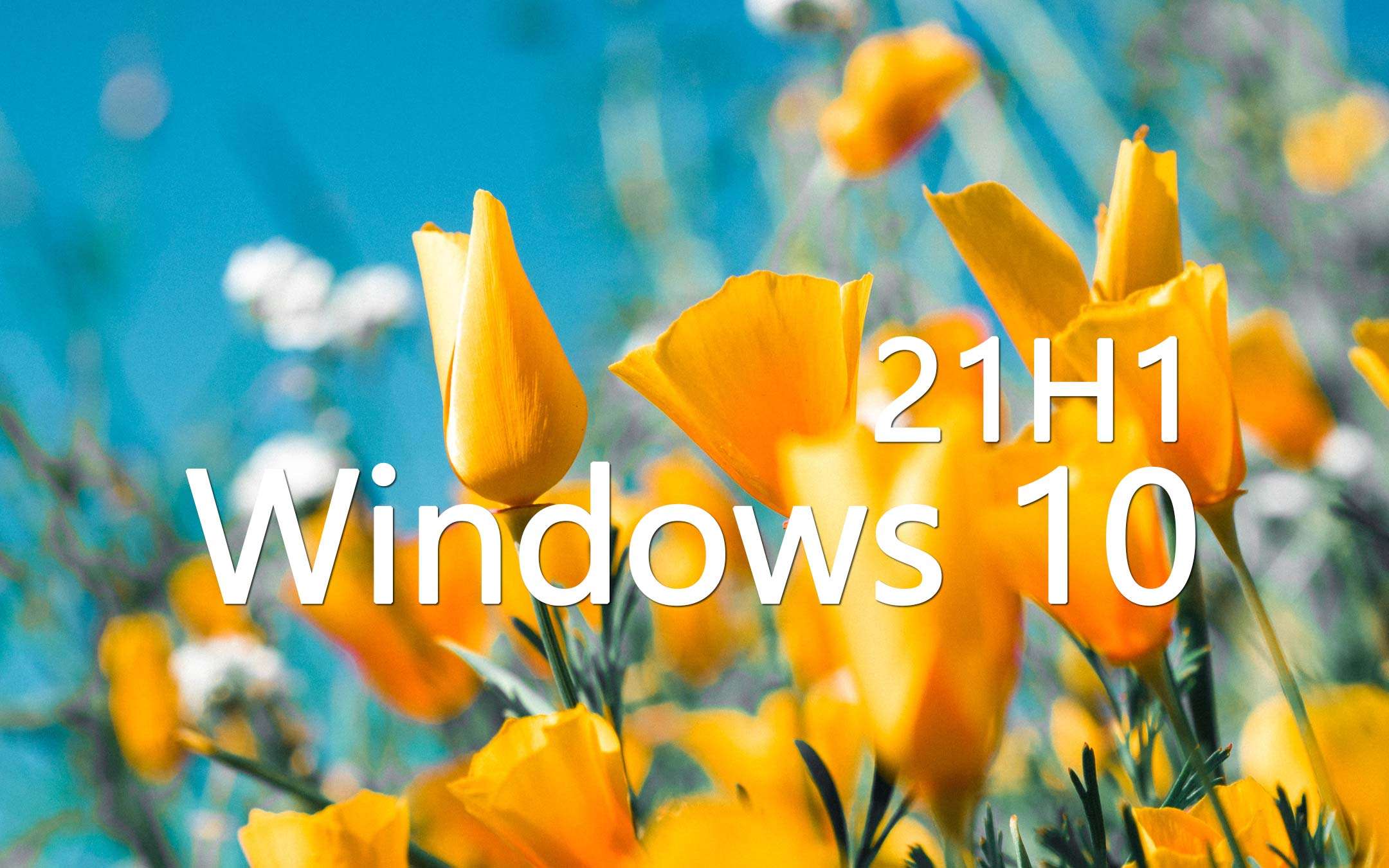Windows 10 21H1 (Spring 2021): lavori in corso sull'aggiornamento