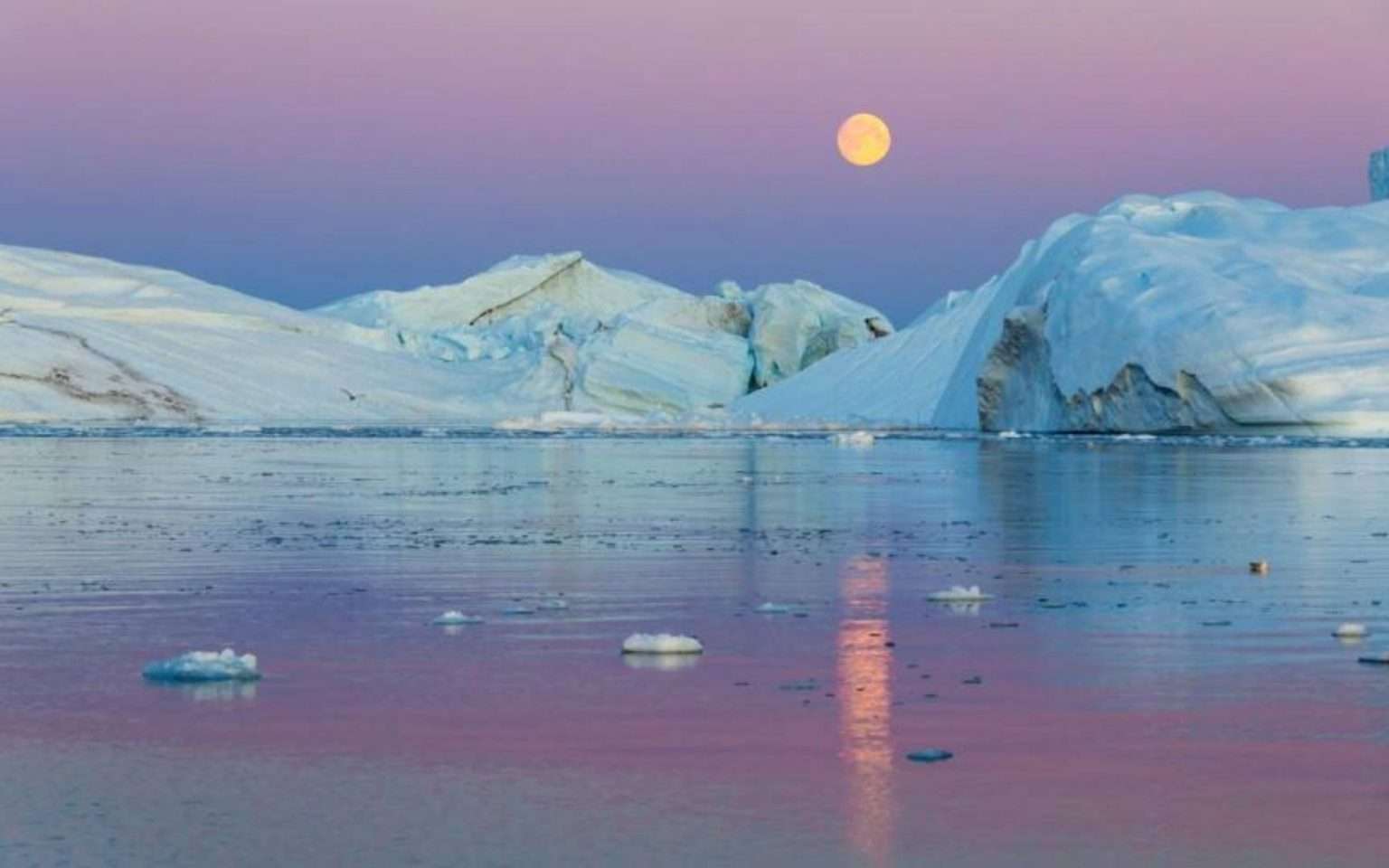 Nanoplastiche ritrovate al Polo Nord e Polo Sud