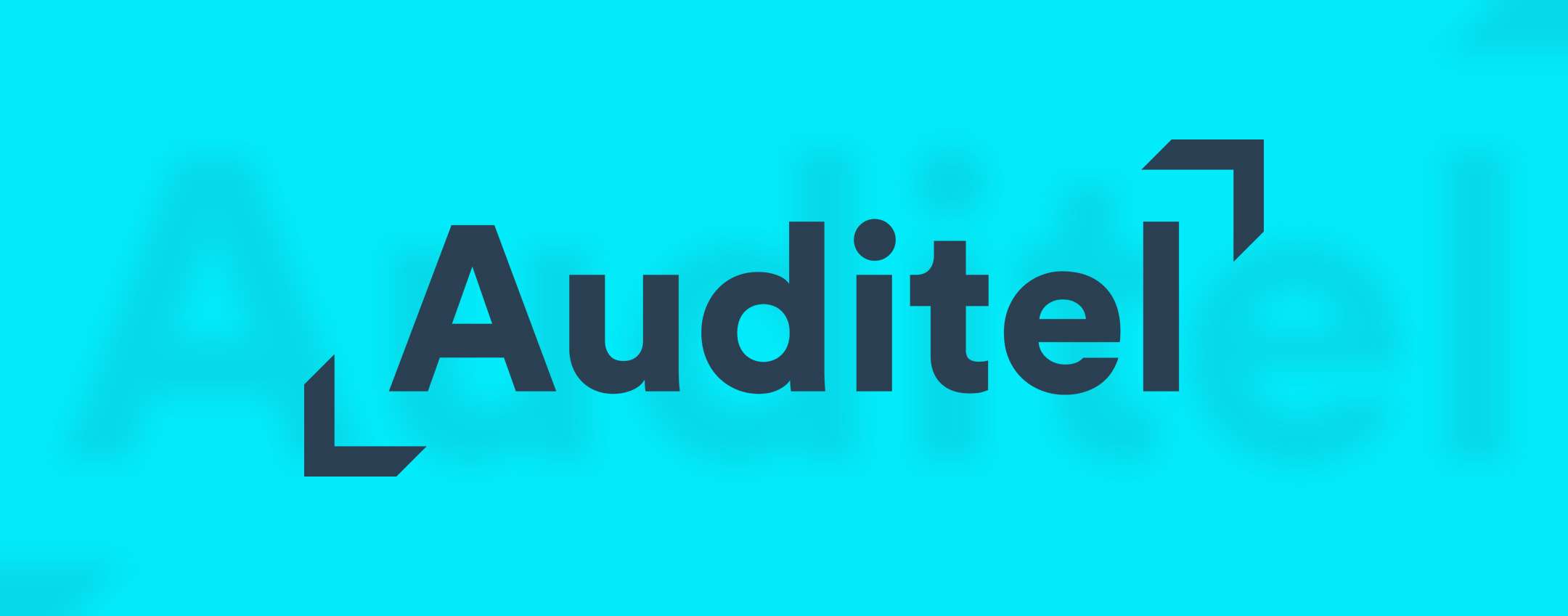 Auditel, Total Audience: cos'è e come funziona