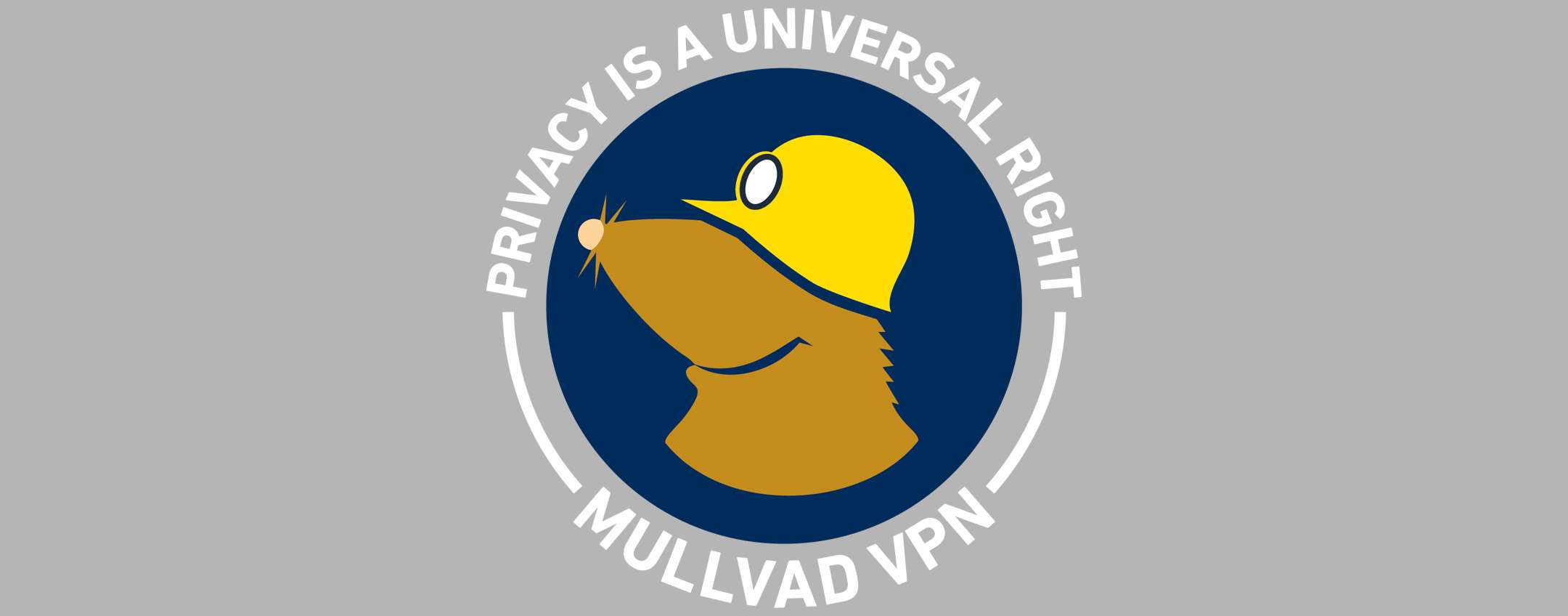 Mullvad: la VPN non accetta nuovi abbonamenti