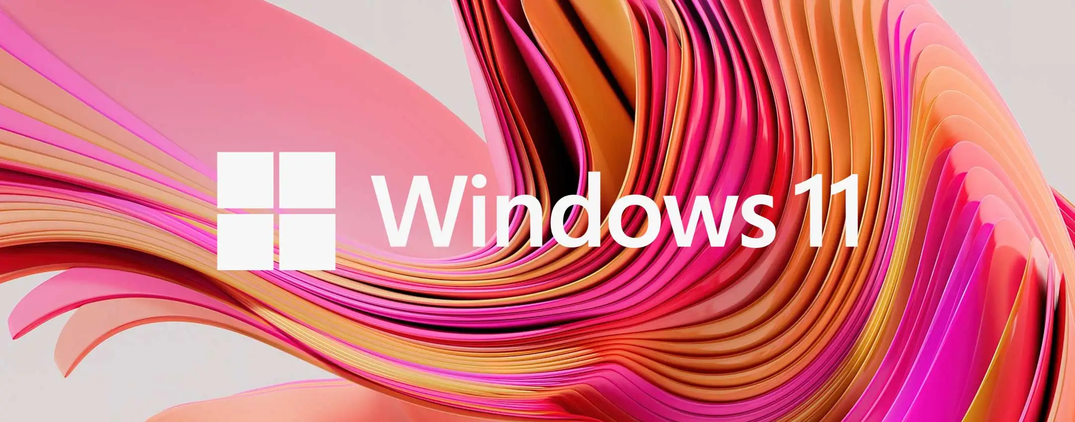 Tiny11: Windows 11 con 2 GB di RAM e 8 GB di storage