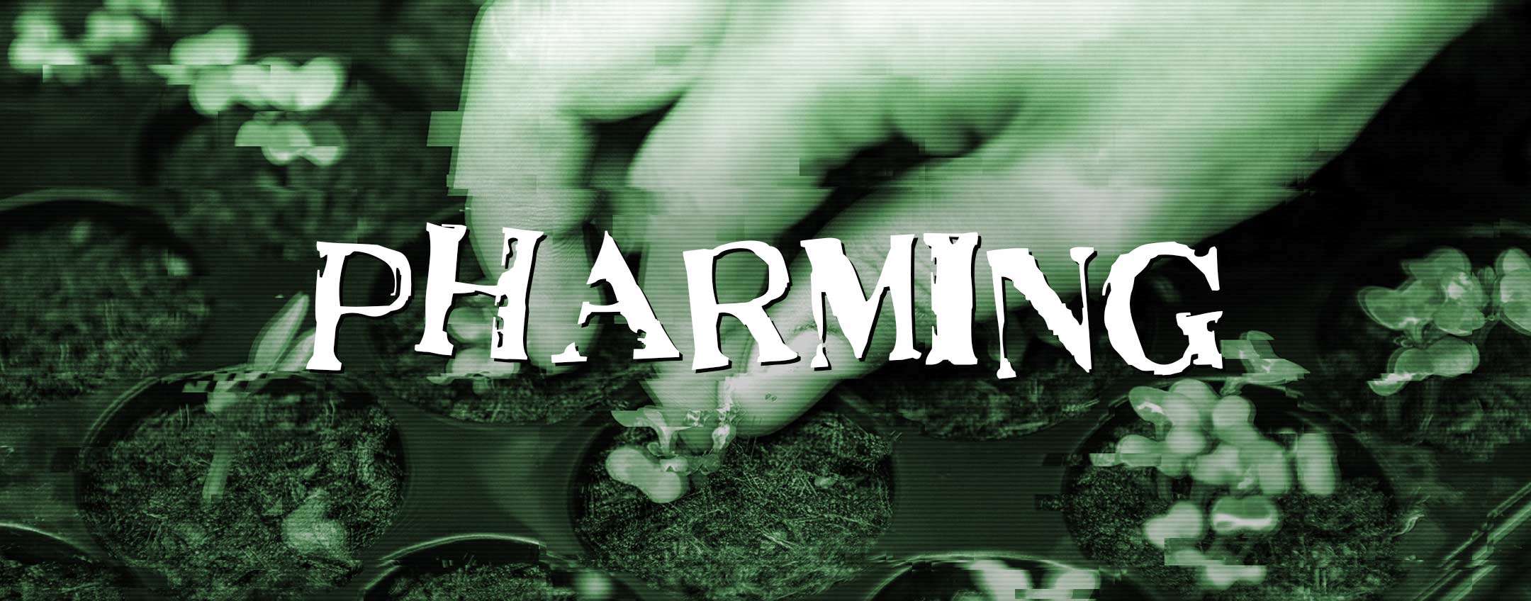 Pharming: cos'è questa nuova minaccia informatica