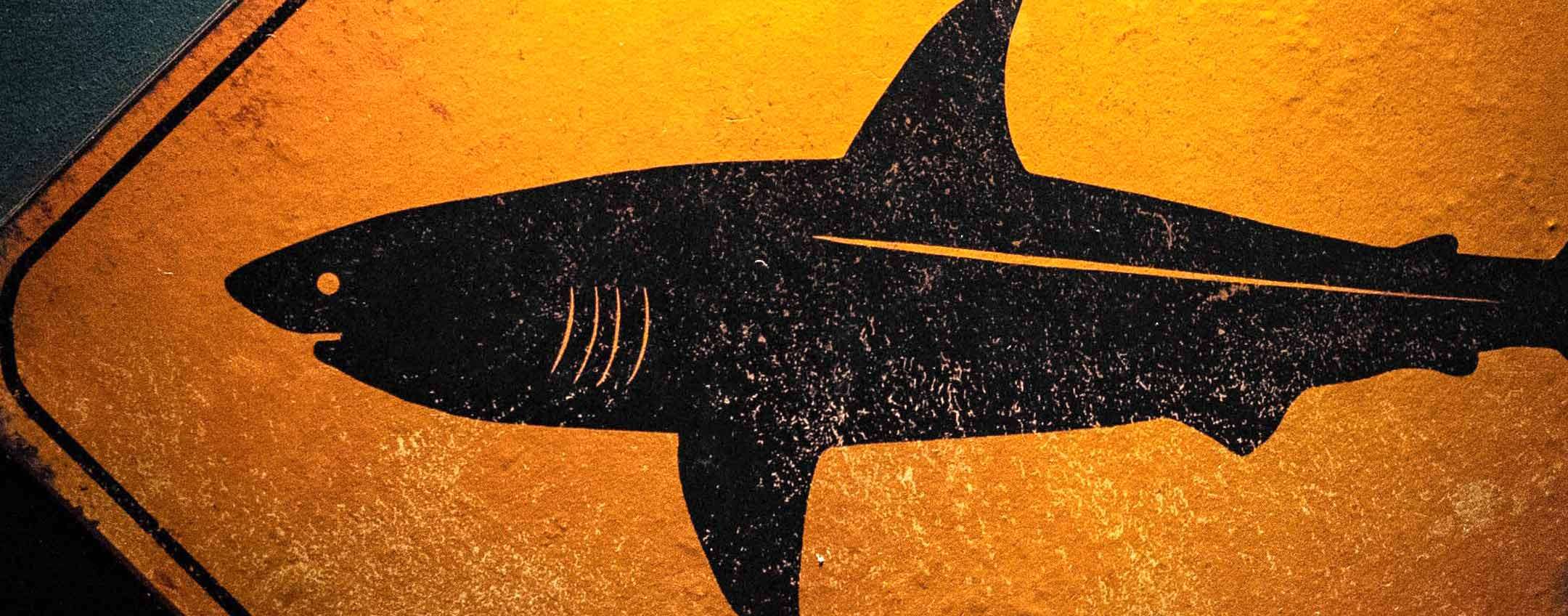 SharkBot, il malware Android torna su Google Play