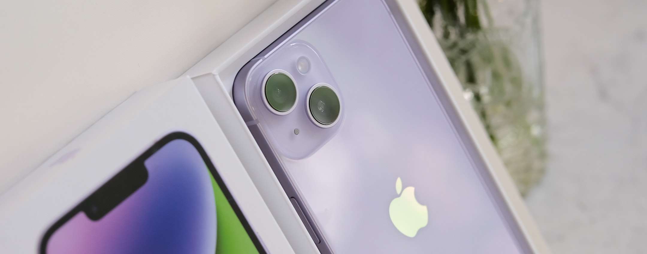 iPhone 15 Plus: cornici più sottili e Dynamic Island