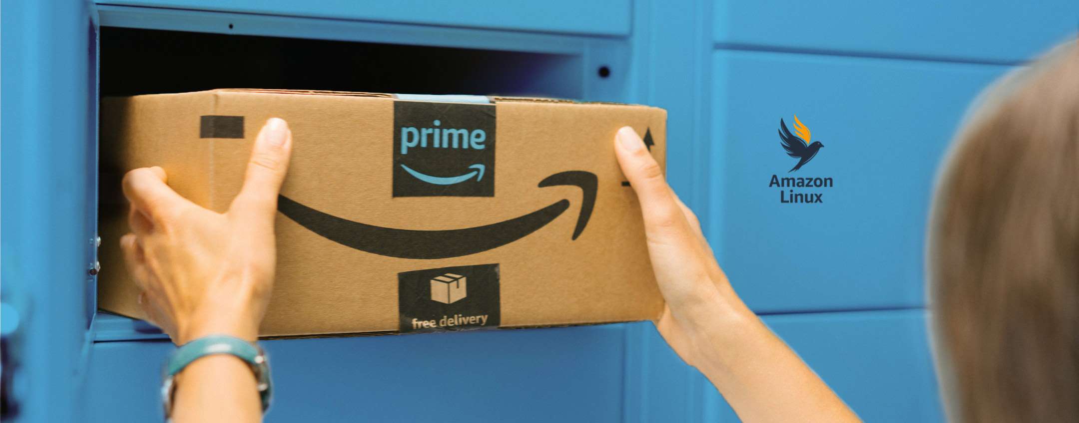 Amazon Linux 2023: nuova versione per Amazon EC2