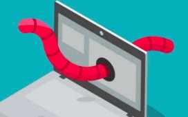 Worm in informatica: cos'è e come agisce il malware