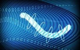 Worm in informatica: cos'è e come agisce il malware