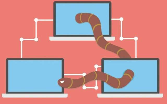 Worm in informatica: cos'è e come agisce il malware