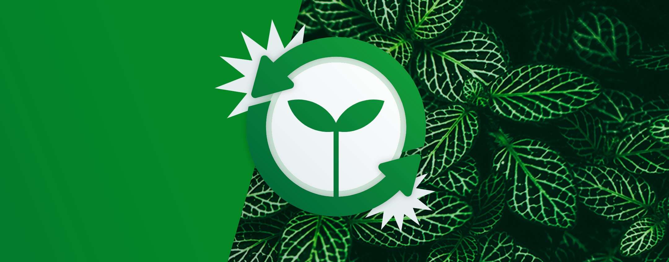 Very Giga Green: ecco il programma GRATIS