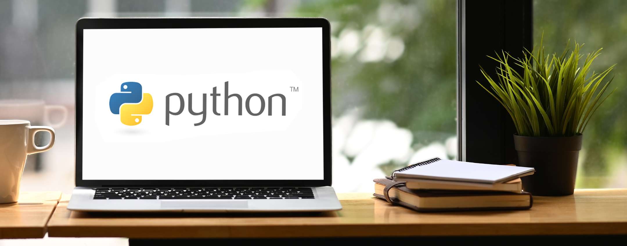 Vuoi imparare a programmare in Python? Ecco il corso completo a 16€