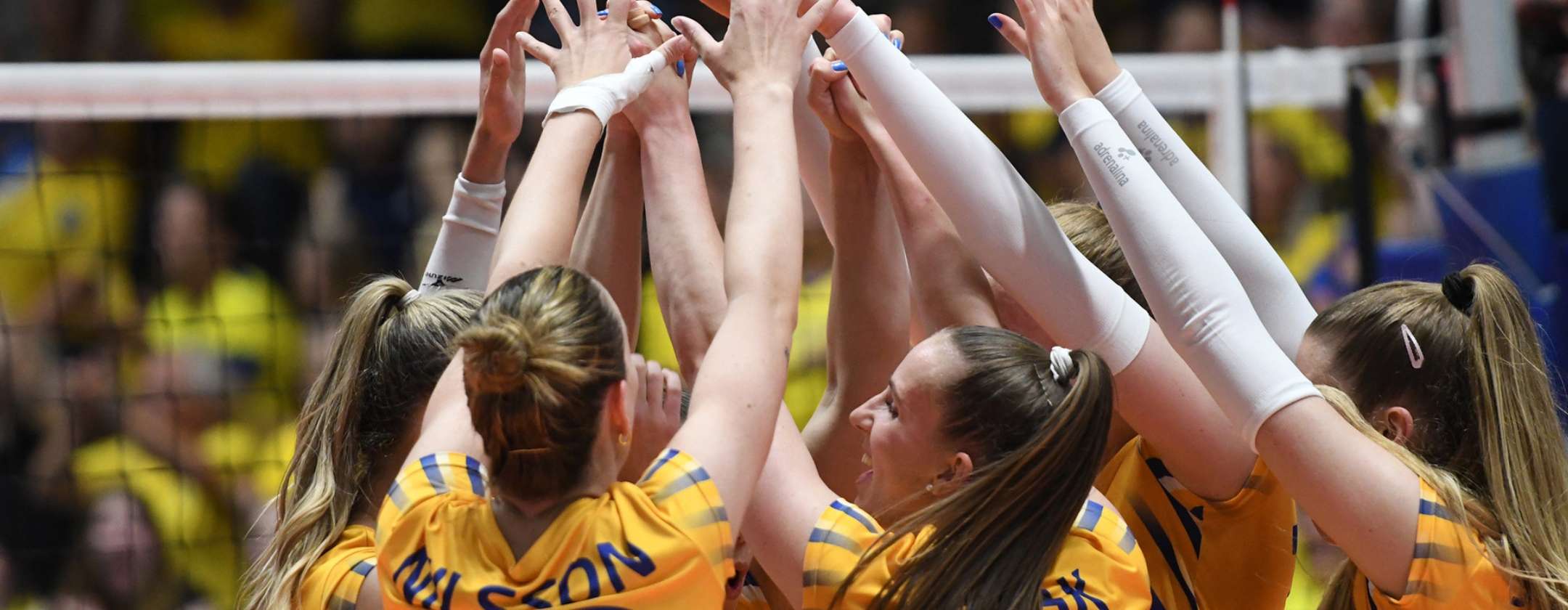 Europei Pallavolo Femminile: guarda le gare in diretta streaming Europei Pallavolo Femminile: guarda le gare in diretta streaming
