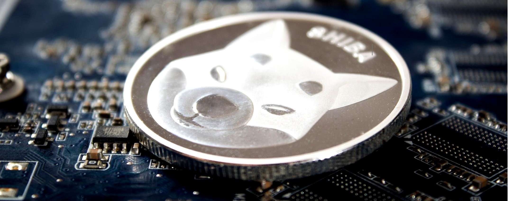 Le whale in Shiba Inu e XRP acquistano una nuova altcoin AI