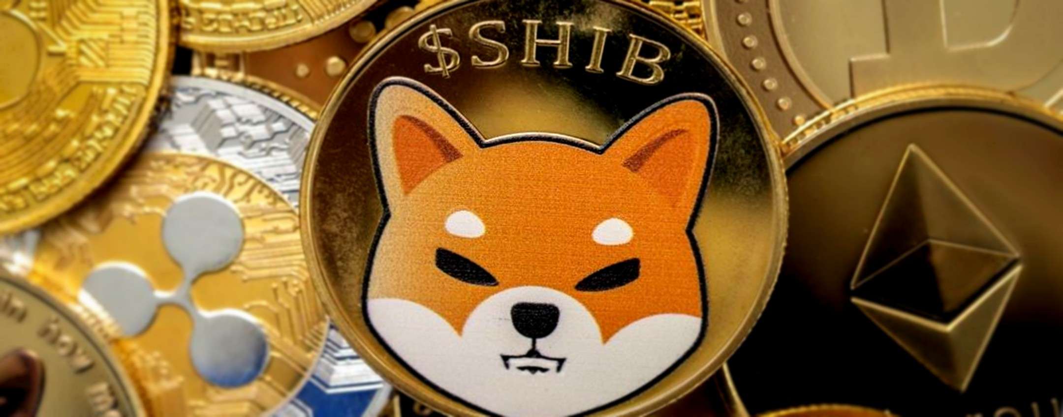 La nuova meme coin da 20x potrebbe superare Bitcoin, Ripple e Shiba Inu