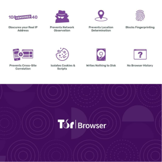 Tor Browser: Cos'è, Come Funziona e Come Usarlo in Sicurezza