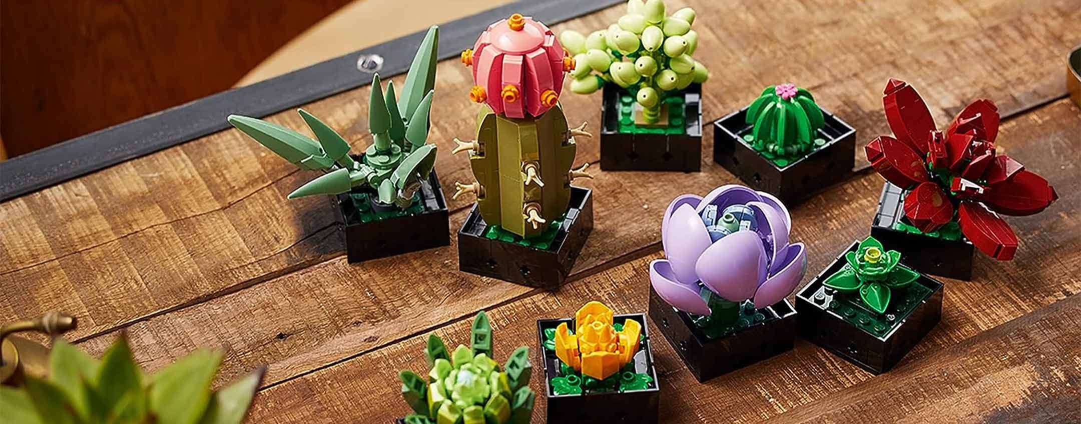 Offerte di Primavera: giù il prezzo delle piante grasse LEGO