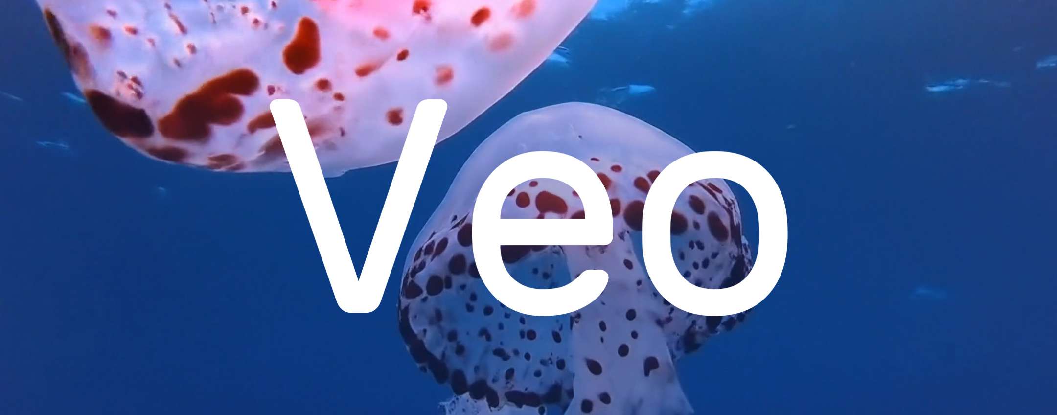 Come accedere a Veo dall'Italia e generare video IA