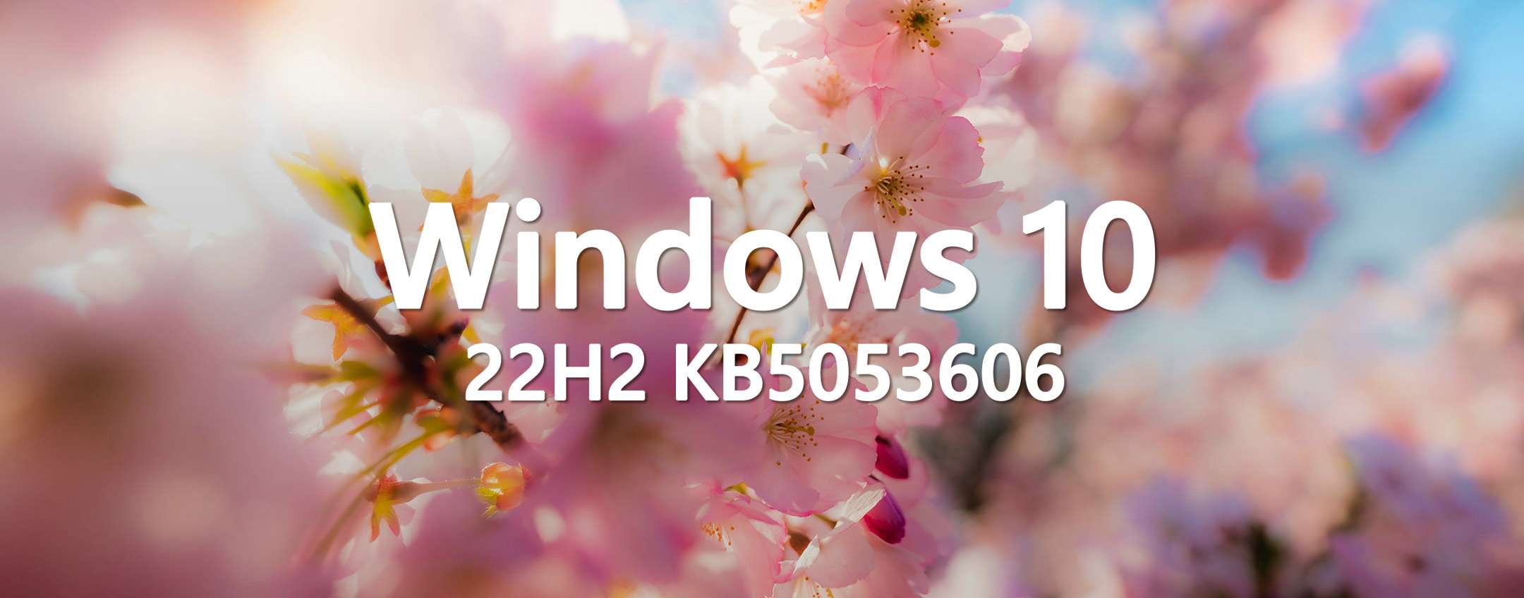 Windows 10 KB5053606: uno degli ultimi Patch Tuesday per l'OS