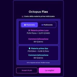 Octopus ha l'offerta giusta per risparmiare sulla bolletta luce e gas